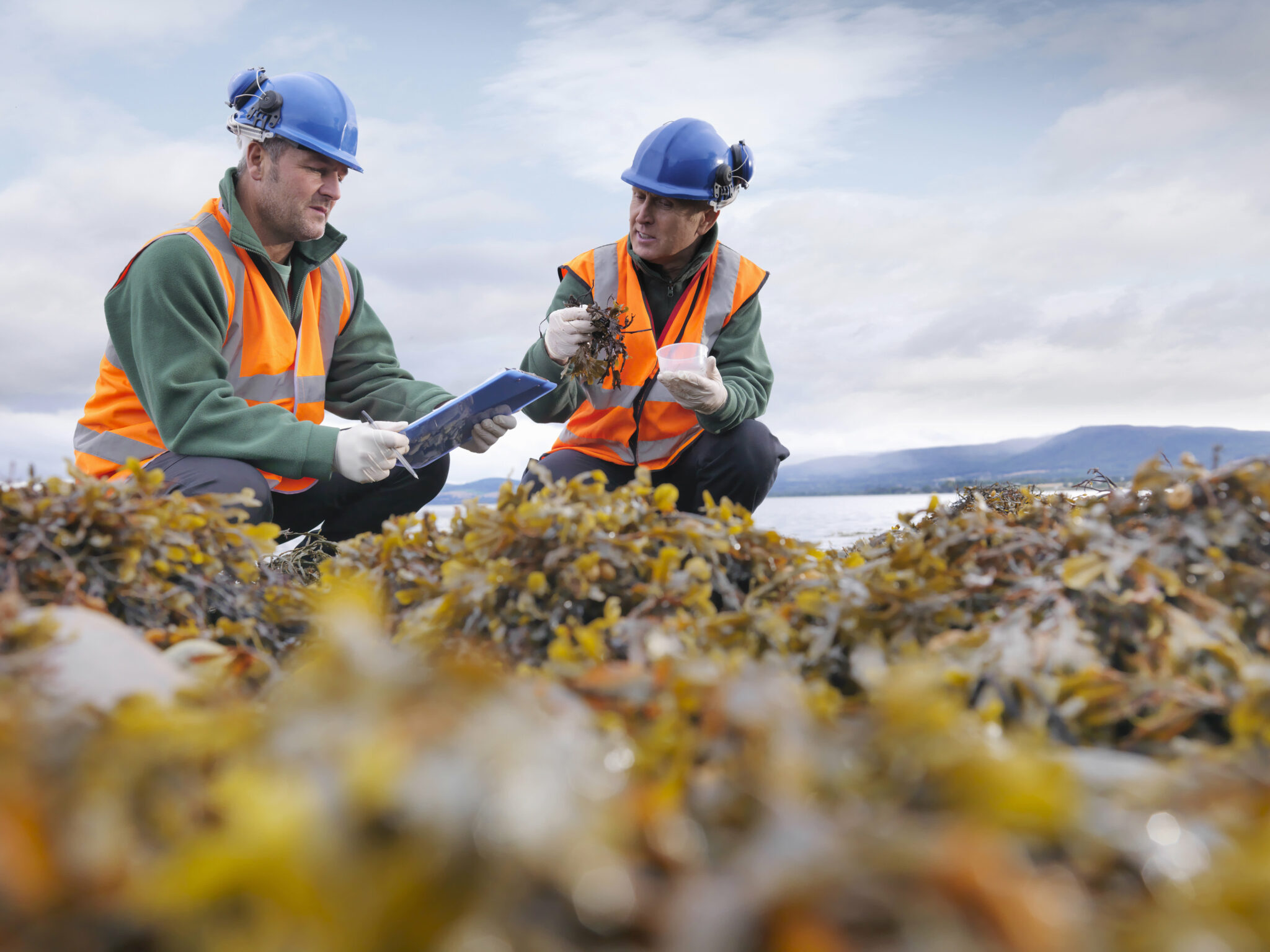 Ultimate Guide: How to Find An Outdoor Job