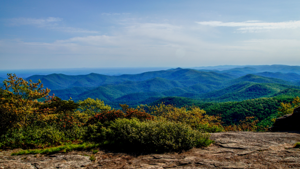 Online Wilderness First Aid: Eastern U.S.