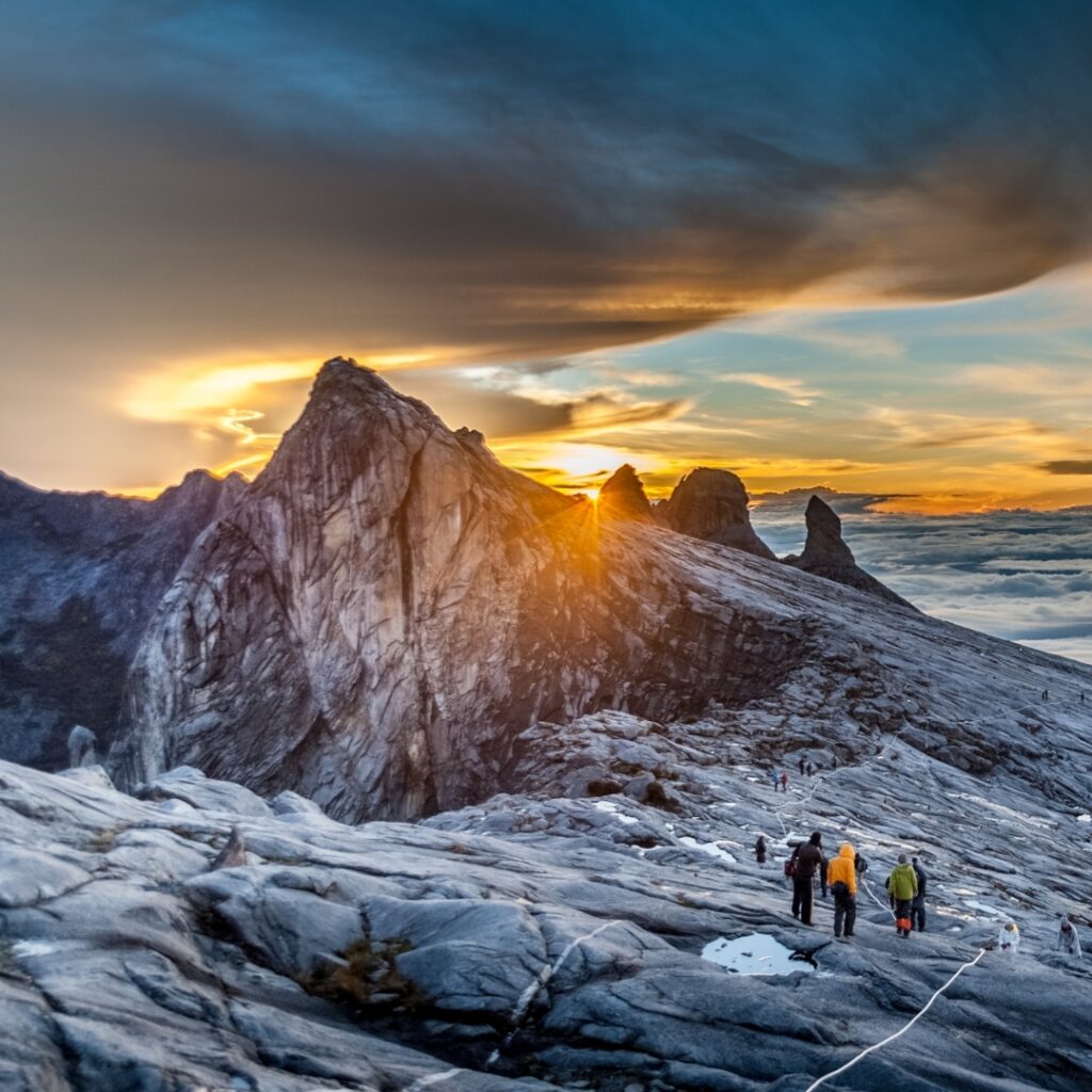 Advanced Wilderness Medicine & Life Support for Medical Professionals